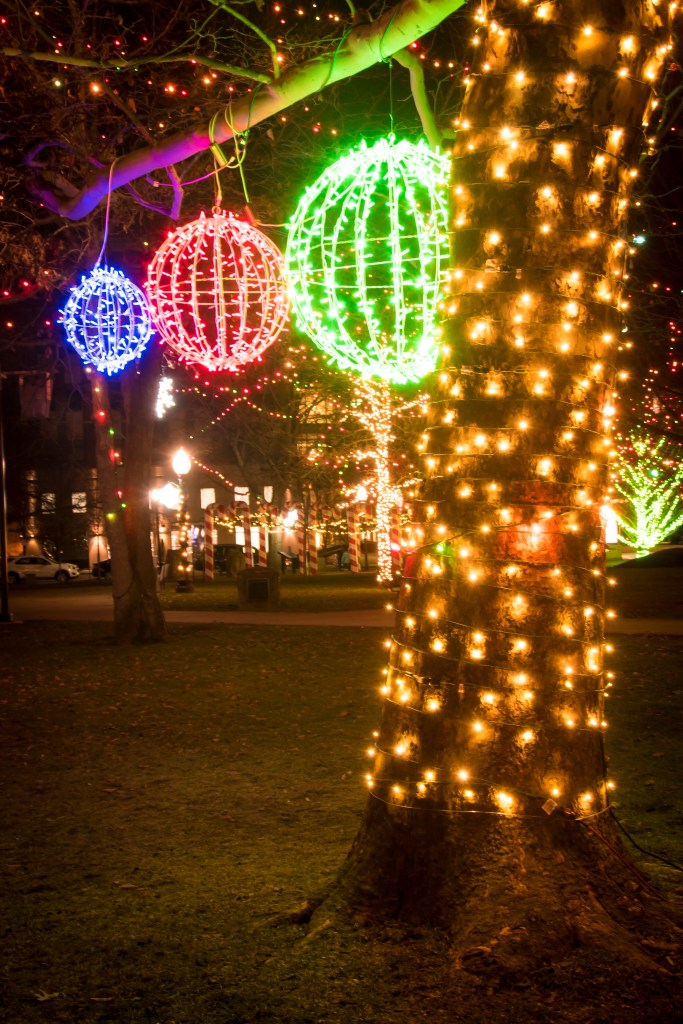 Cover photo contest celebrates student artists | South County News